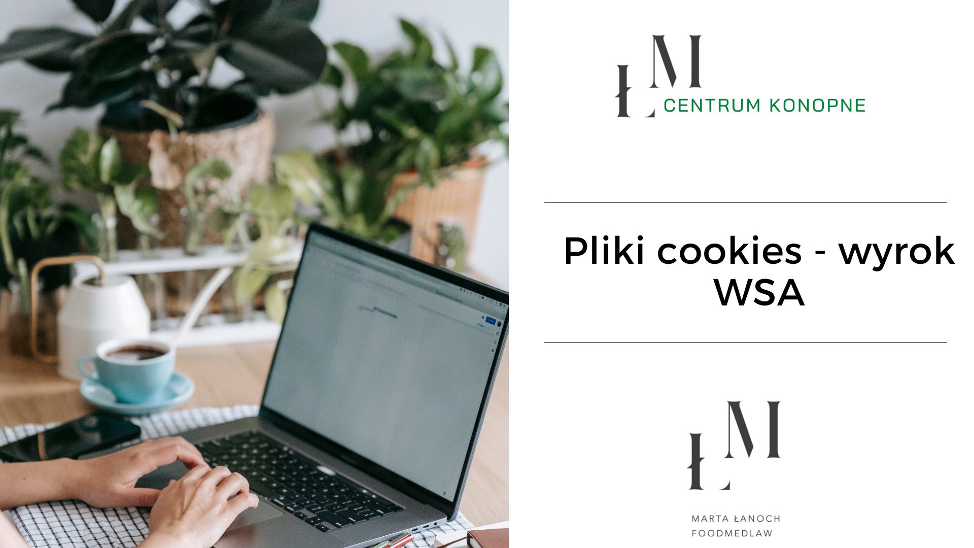 Pliki cookies a dane osobowe - UODO / WSA - Foodmedlaw